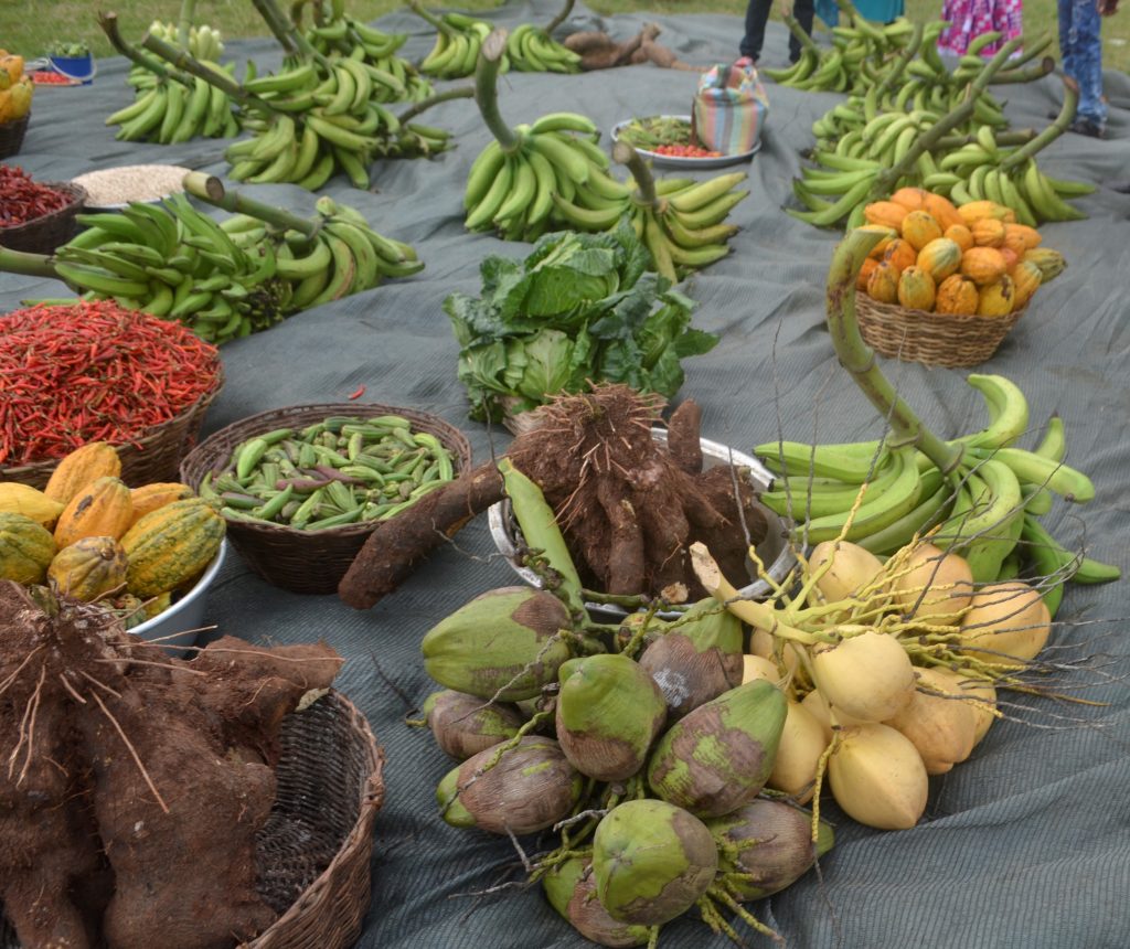 38TH FARMER’S DAY CELEBRATION – Asunafo South District Assembly